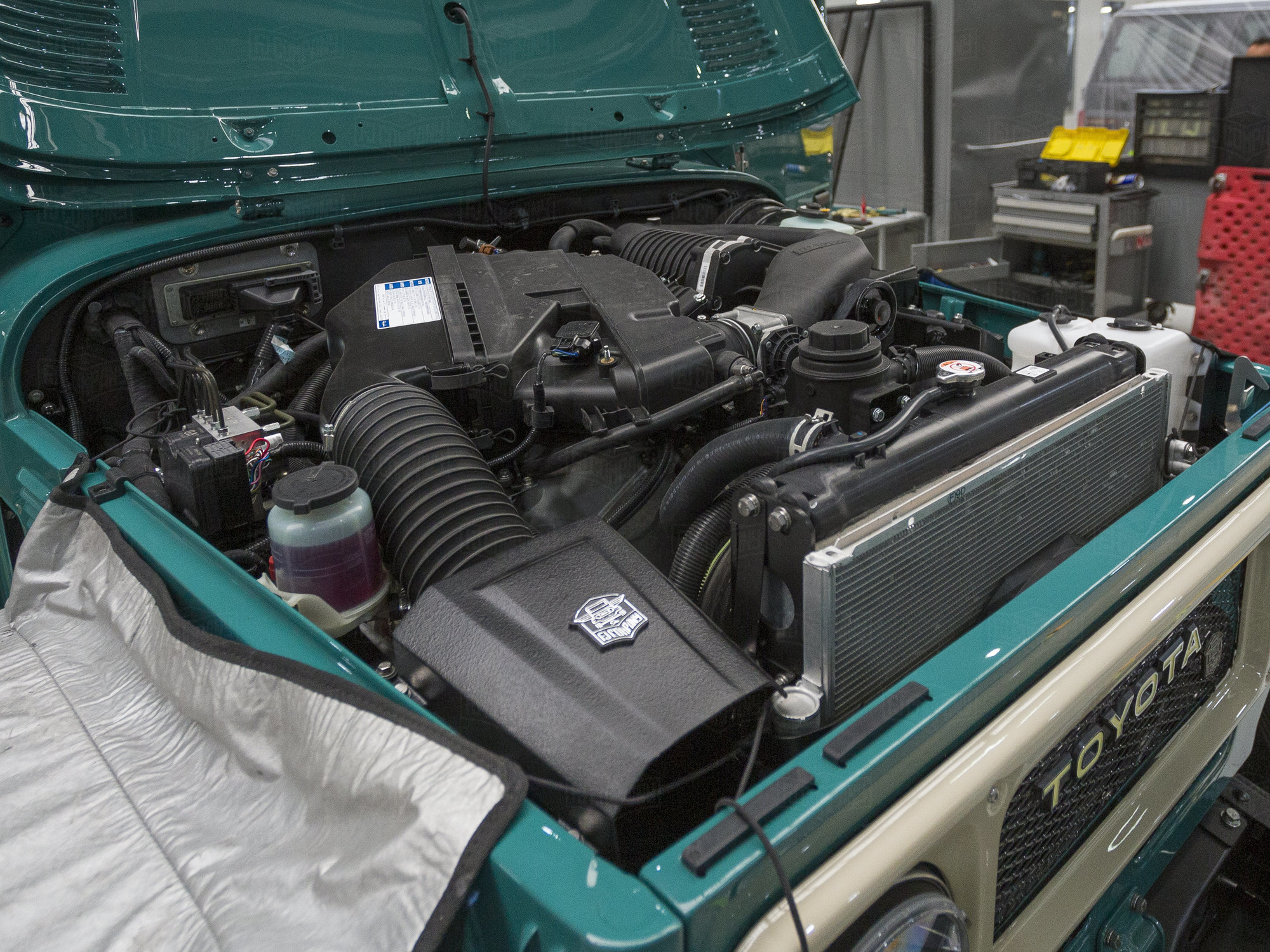 1979 FJ40 - Rustic Green (621) - FJ40-294257